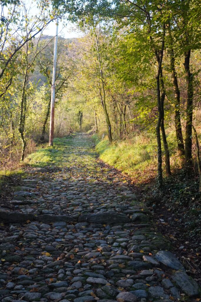 Sacra of Saint Michele Monastery near Turin - Visitor Guide