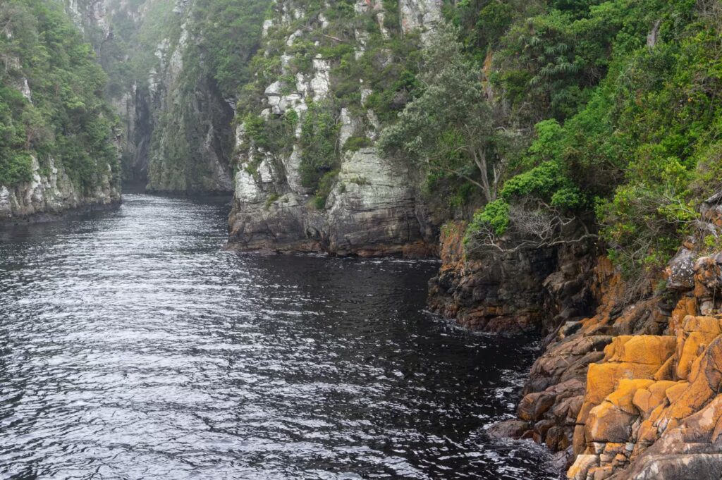 Storms River Mouth Bridge Trail - to the Suspension Bridge
